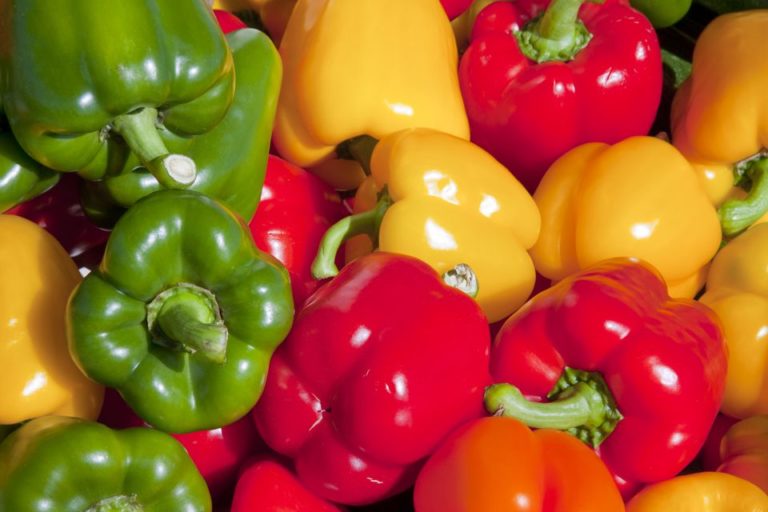 TATASHE! Six amazing health benefits of Bell peppers, number two will ...